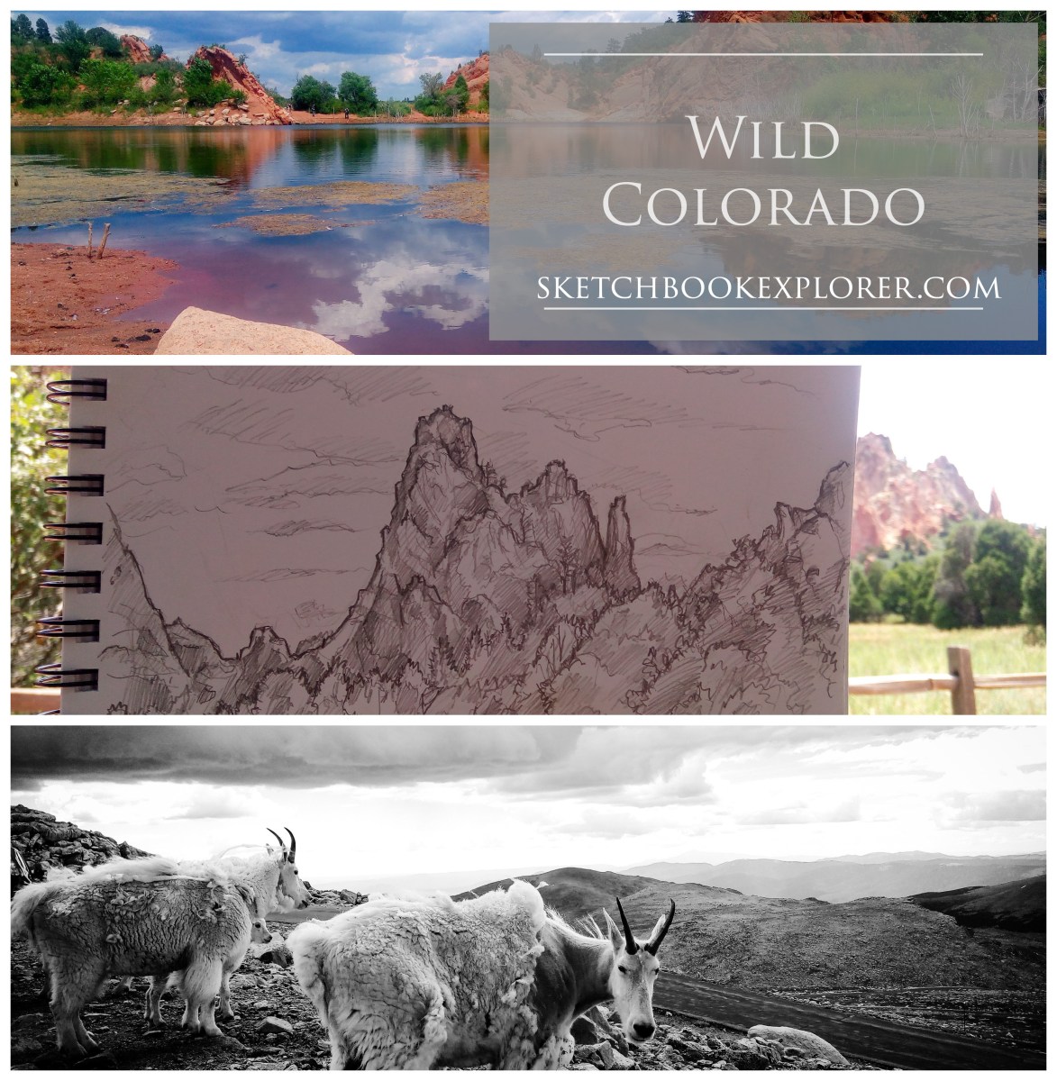 Wild Colorado – Sketchbook Explorer